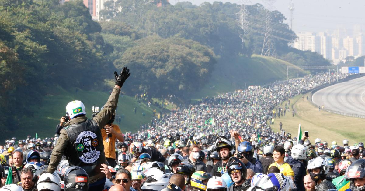 Bolsonarismo e a extrema direita no Brasil: uma reflexão sobre origens ...